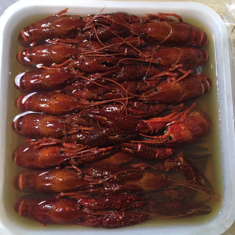 Frozen Whole Crawfish In Dill Sauce – ALSABAH ALDAHABI